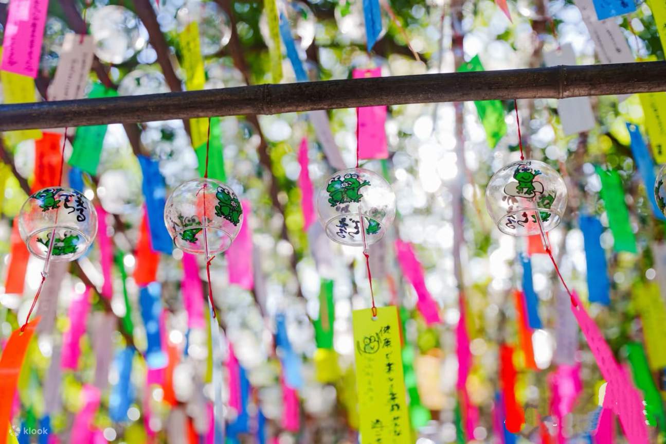 [Cherry Blossom Limited] One-Day Kyushu Saga Cherry Blossom Viewing ...